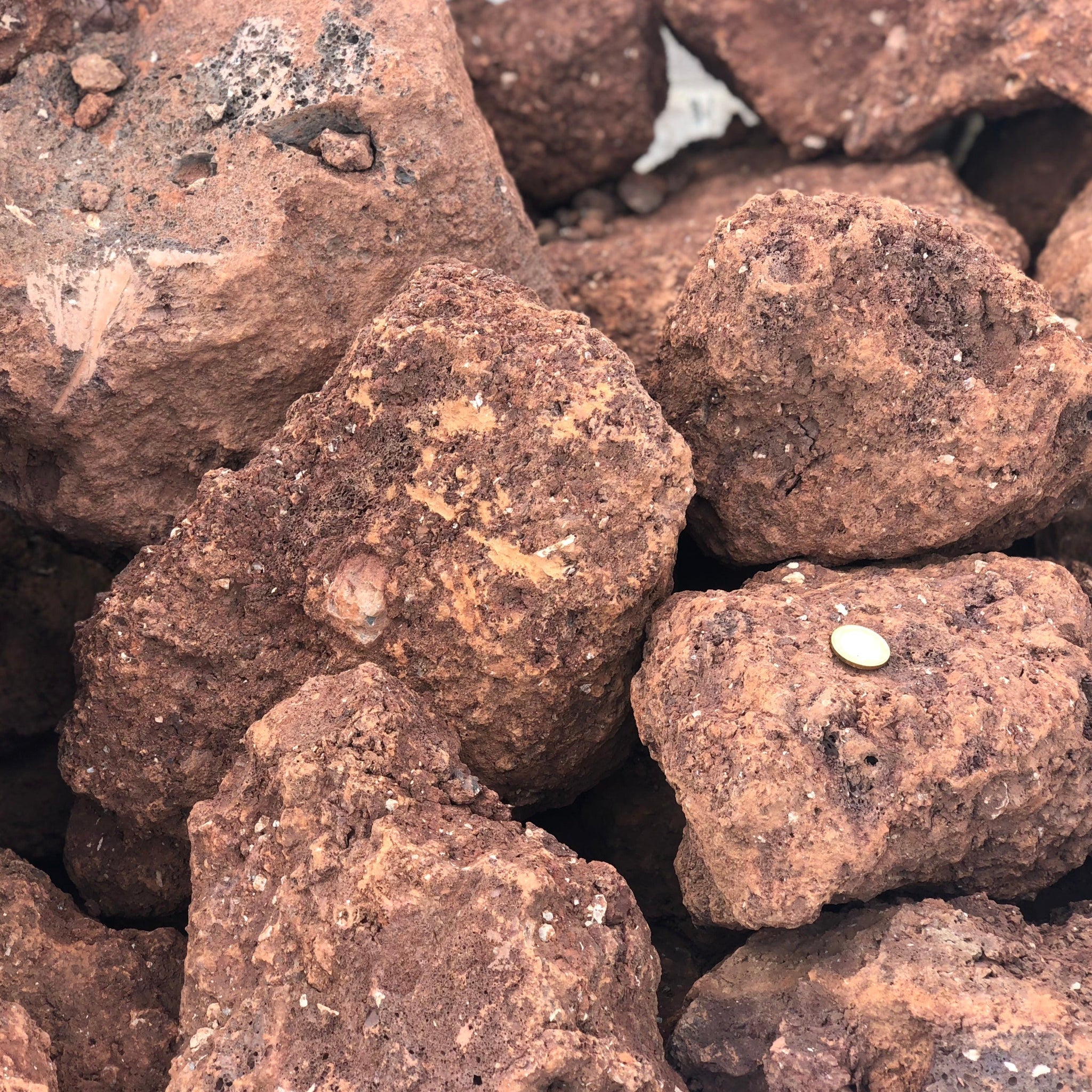Red Volcanic Rock | Creation of rockeries and flower beds